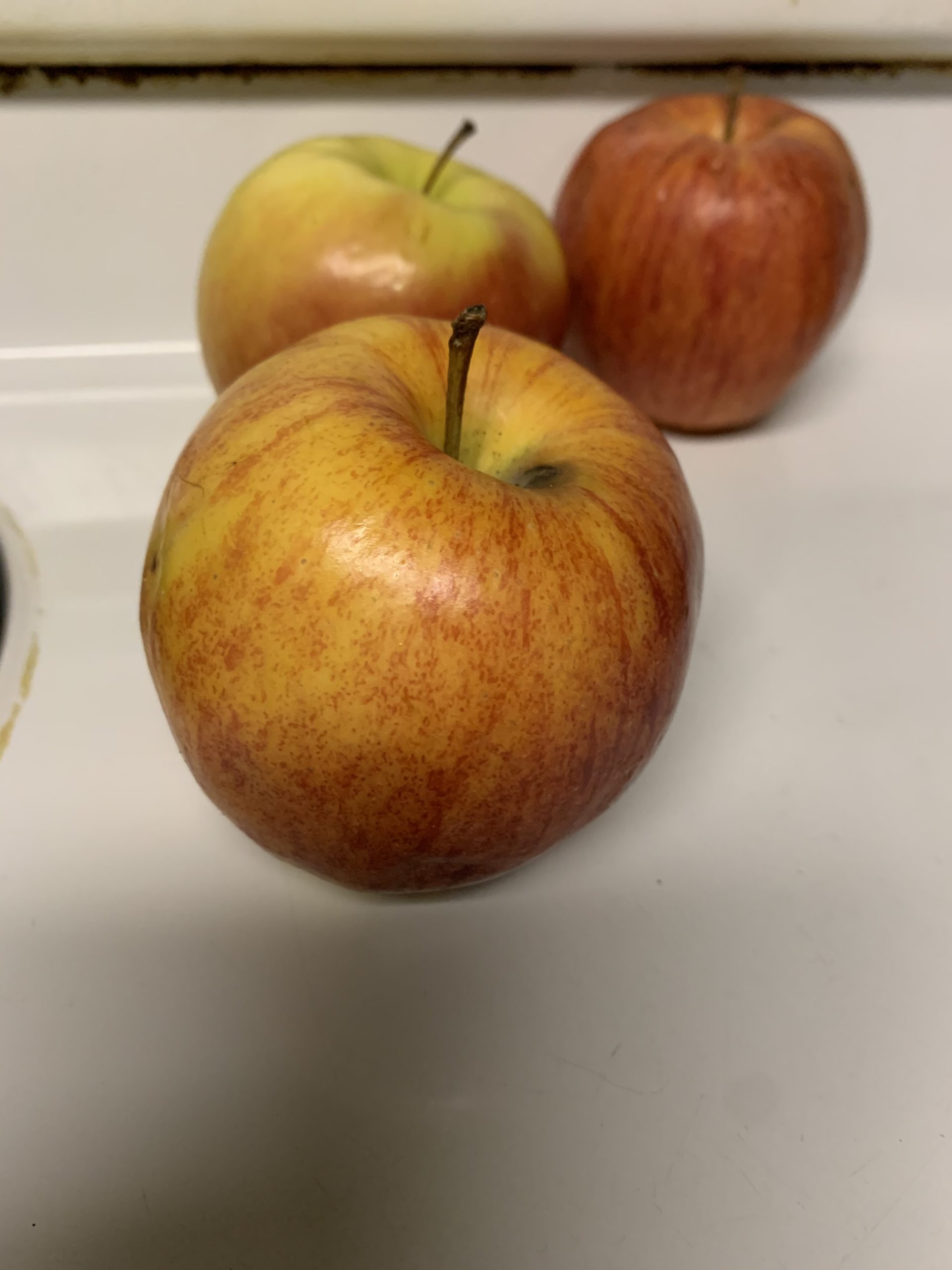 Unappetizing Apple – Fungi Lab